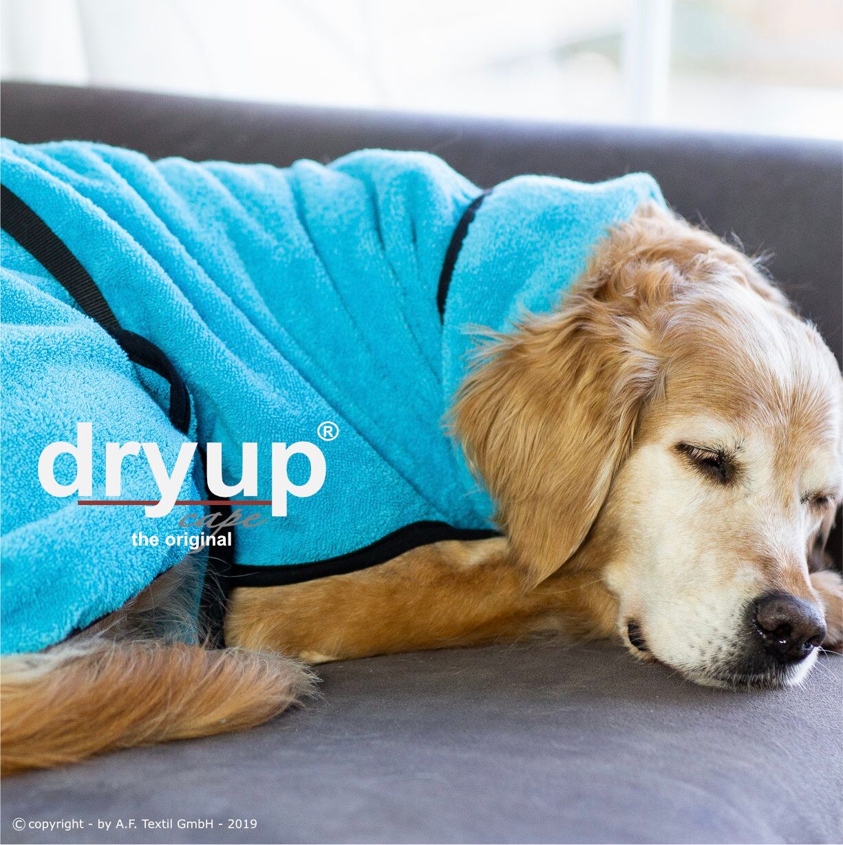 Retriever on Tour - „Dryup Cape“ Trockencape - Hundebademantel cyan